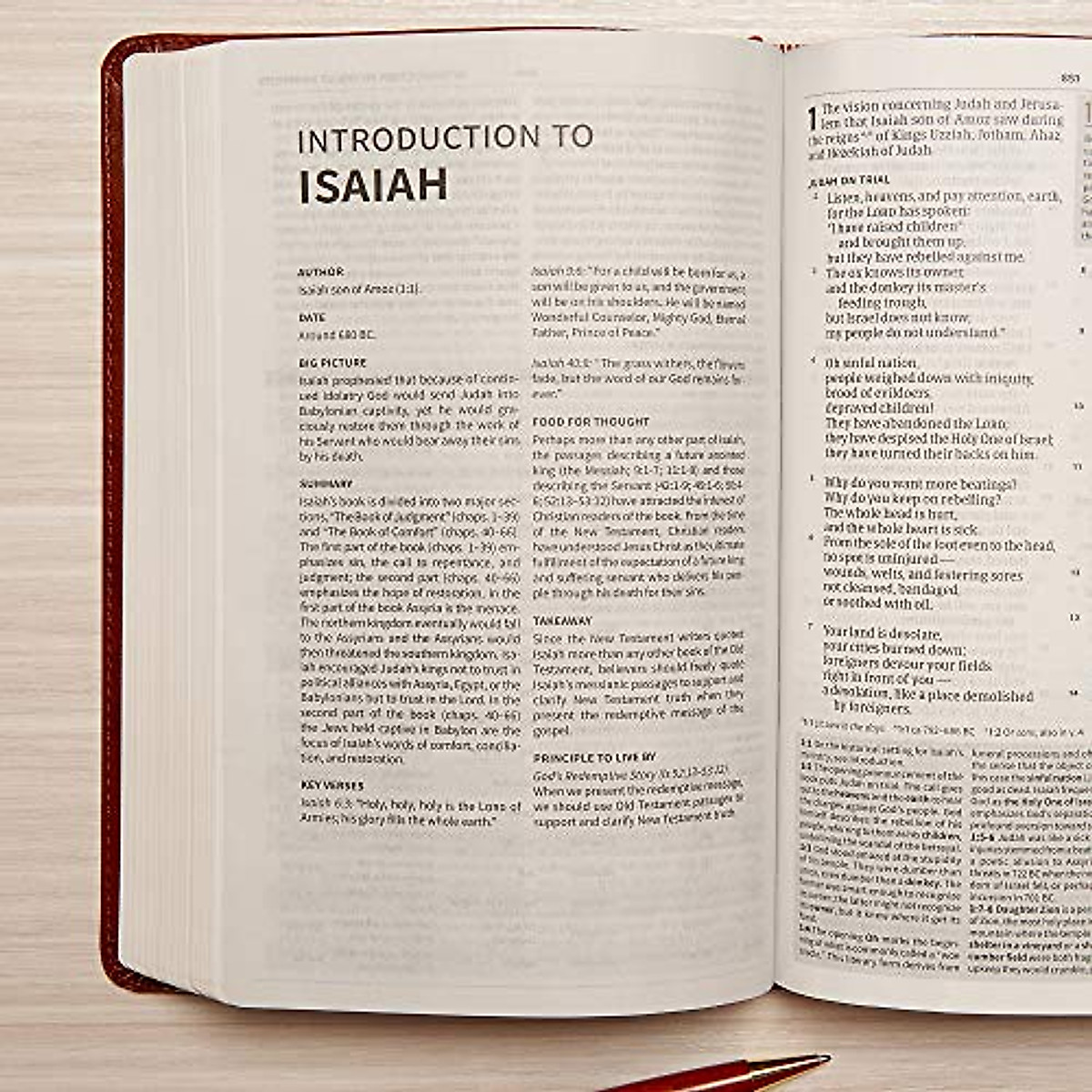 CSB Everyday Study Bible, British Tan LeatherTouch, Black Letter, Study Notes, Illustrations, Aricles, Easy-to-Carry, Easy-to-Read Bible Serif Type