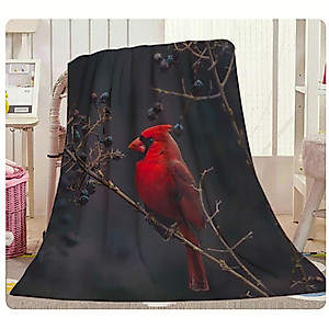 HGOD DESIGNS Red Bird Throw Blanket,Northern Cardinal Bird On The Tree Branch Soft Warm Decorative Throw Blanket for Bed Chair Couch Sofa 30"X40"