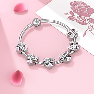 JIAYIQI Wife Charms for Pandora Charms Bracelet I Love You Forever Sterling Silver Daisy Ladybug Love Charms Bead Christmas Birthday Valentine's Day Present for Wife from Husband