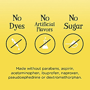 Kids Nighttime Oral Pain Relief Tablets by Hyland's 4Kids, Natural Relief of Toothache, Swelling Gums, and Oral Discomfort, 125 Count