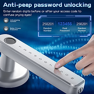 MILLIONHOME Fingerprint Door Lock Door Knob with Keypad Keyless Entry Door Lock with Handle for Home Hotel Office Apartment Bedroom Silver