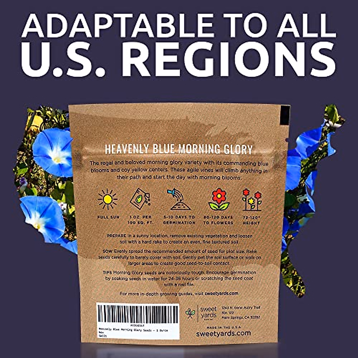 Morning Glory Seeds Heavenly Blue - Large 1 Ounce Packet - Over 1,000 Flower Seeds