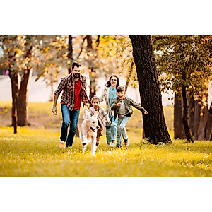 K9 Collagen Hip & Joint Supplement for Dogs - Fish Collagen Powder for Canines, Supports Healthy Joints, Improved Mobility, Pain Relief, Pet Wellness, Puppy Care, 1 Month Supply