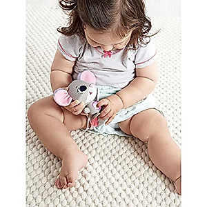 Tiny Love Wonder Buddies, Coco