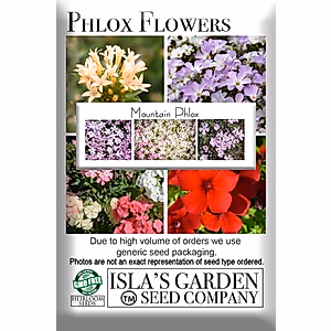 Mountain Phlox Flower Seeds, 1000+ Flower Seeds Per Packet, Non GMO & Heirloom Seeds, (Isla's Garden Seeds), Scientific Name: Phlox stansburyi
