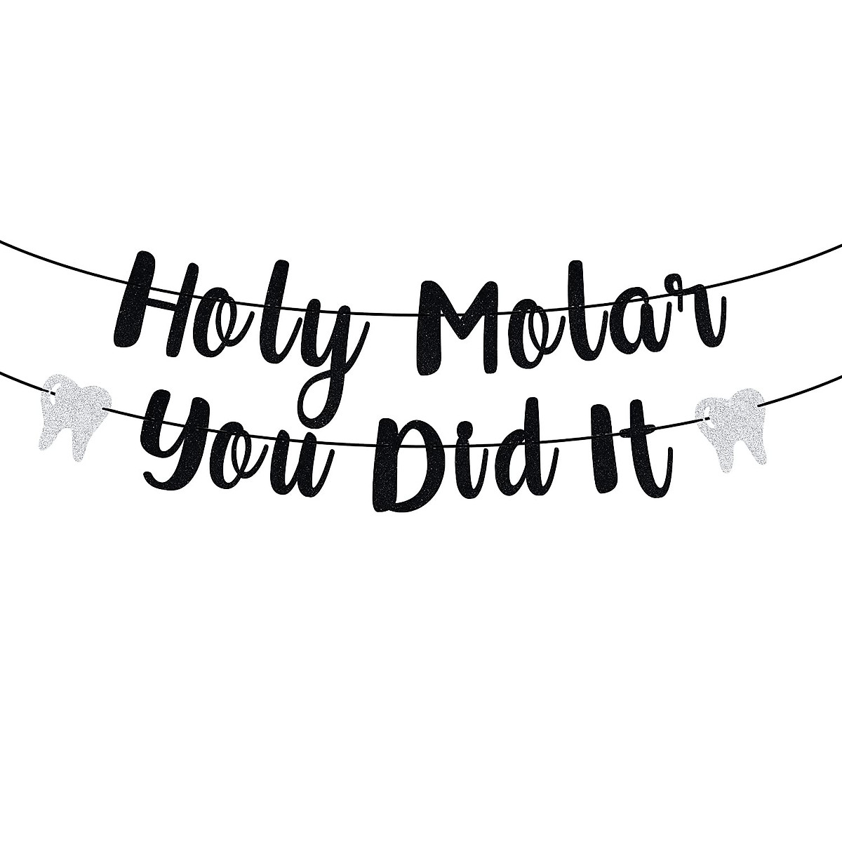 Black Glitter Holy Molar You Did It Banner, Future Dentist/Class of 2025/Congrats Dentist, 2025 Dental School Graduation Party Decorations Supplies
