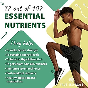 TrueSeaMoss Sea Moss Raw Wild Crafted Seamoss Raw - 100% Irish Sea Moss Raw (Pack of 1) - Dried Sea Moss Advanced Drink - Clean and Sundried - Vegan Sea Moss (1Pound) (16oz)