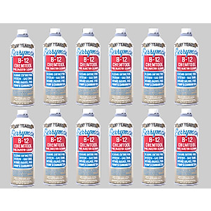 Berryman (0116-12PK) B-12 Chemtool Carburetor/Fuel Treatment and Injector Cleaner - 15 oz., (Pack of 12)