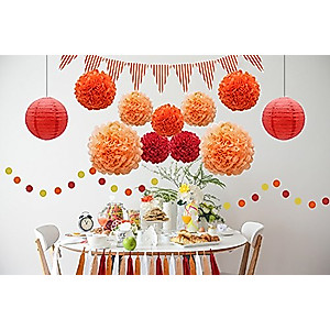 33pcs Party Decorations Supplies Set, Paper Lanterns Tissue Pom Poms Flowers Tassels Hanging Garland Banner Triangle Flag Bunting for Birthday, Baby Shower, Wedding Graduation Events (Orange, Red)
