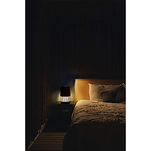 Arm & Hammer, AH301W HEPA Air Purifier for Home Office, Desktop Air Cleaner Removes 99.97% Allergies, Smoke, Dust, Pollen, Pet Dander, Odor, Germs, Mold, Pearl White