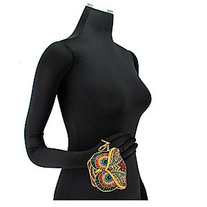 Mary Frances womens Little Wiser Crossbody Owl Handbag Sling Bag, Multi, Small US