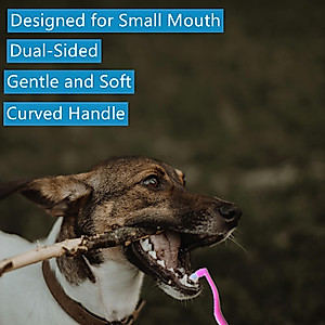 JLEivvi 2Pcs Cats & Dogs Toothbrush and Toothpaste, Puppy Kitten Toothbrush for Cat Teeth Cleaning with End Tuft Toothbrush and Micro Brush Head & Curved Handle Cat Dental Care Supplies