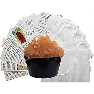 Six Brewing Bags with Florida Sun Kefir Live LARGE Water Kefir Grains (Tibicos) Natural Probiotics