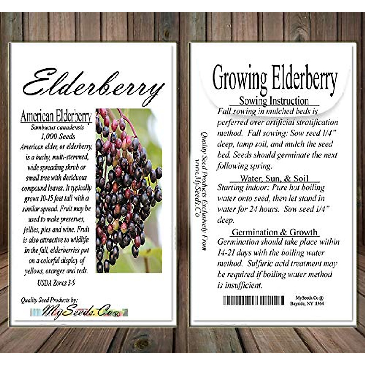 Big Pack - (1,000) American Elderberry Seeds - Sambucus Canadensis - Non-GMO Seeds by MySeeds.Co (Big Pack - Elderberry)