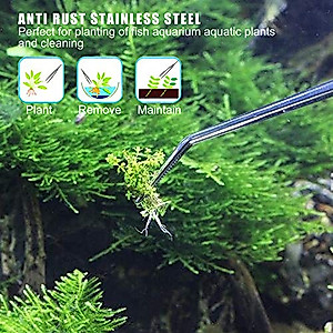 Longjet Feeding Tongs, 2 Pcs 10.6 Inch Stainless Steel Long Tweezers Forceps, for Reptile Lizards, Gecko, Bearded Dragon, Snake, Turtle Feeder and Aquarium Aquatic Plant Bonsai Starter Tools