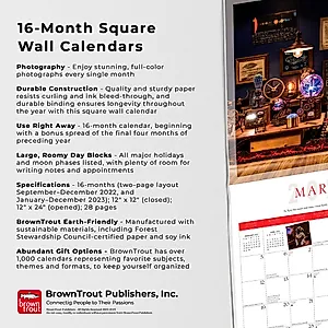 Fantasy Pugs | 2023 12 x 24 Inch Monthly Square Wall Calendar | Foil Stamped Cover | BrownTrout | Funny Animals Dogs