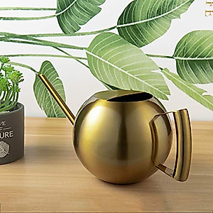 IMEEA Watering Can for Indoor Plants 45oz/1.3L Stainless Steel Small Indoor Watering Can House Plants (Bronze Color)
