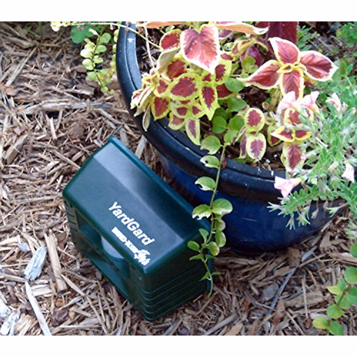 Bird-X Yard Gard Electronic Animal Repeller keeps unwanted pests out of your yard with ultrasonic sound-waves