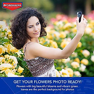 BioAdvanced Dual Action Rose and Flower Insect Killer, Continuous Spray, 15.7 oz