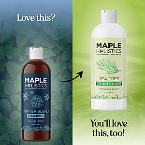 Sulfate Free Hard Water Shampoo - Deep Clarifying Shampoo for Build Up of Product and Minerals with Five Cleansing Mint Essential Oils for Replenishing Hydration and Hair Shine - Vegan & Cruelty Free