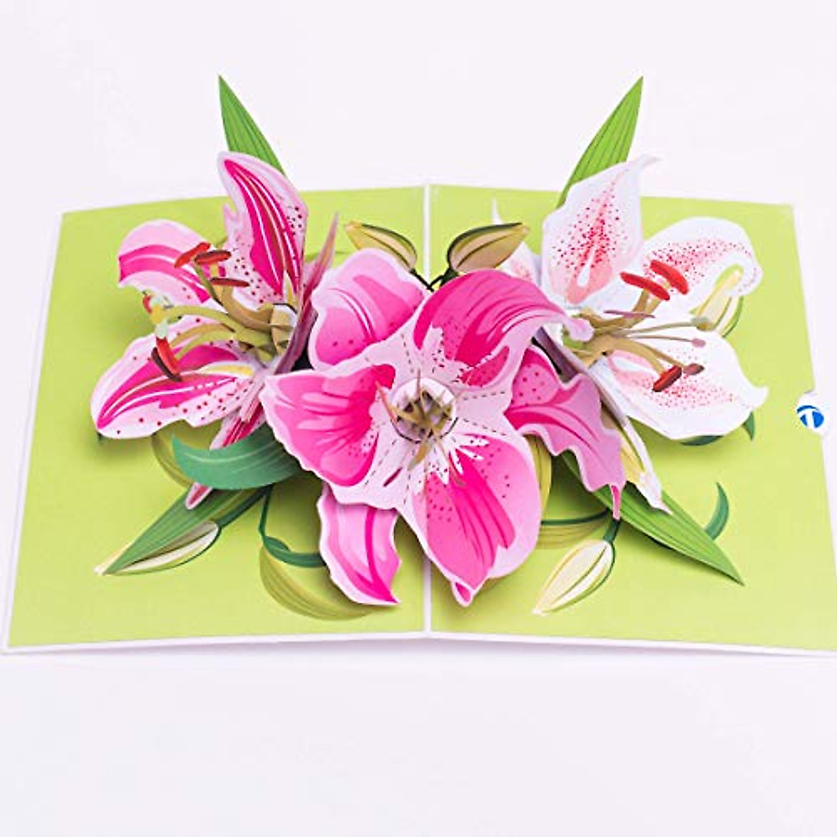 TRUANCE Pop Up Greeting Card Lily Flower- 3D Cards For Birthday, Anniversary, Mothers Day, Thank You Cards, Card for Mom, Congratulation Card, Love Card, All Occasion