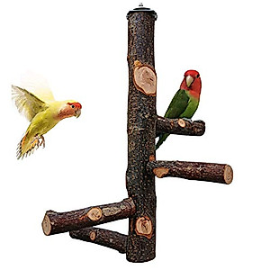 kathson Parrots Perch Natural Fruit Wood Stand Toy Branch Paw Grinding Standing Climbing Toy Cage Accessories for Small and Medium Birds,Parakeets,Lovebirds,African Grey,Cockatiels