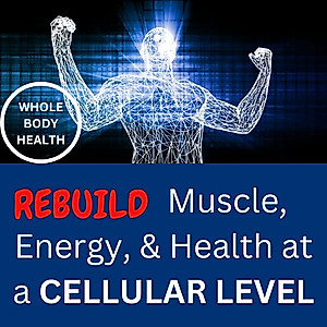 Adrenalwork Mens One a Day Multivitamin –- Includes Zinc, Magnesium, Vitamin B Complex, Iron, Essential Minerals+. Essential Multi Vitamins Supplements for Men