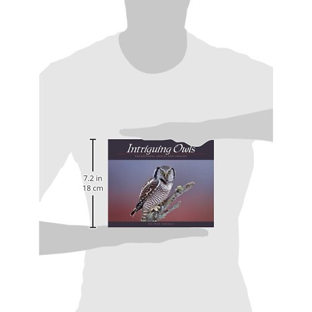 Intriguing Owls: Exceptional Images and Insight (Wildlife Appreciation)