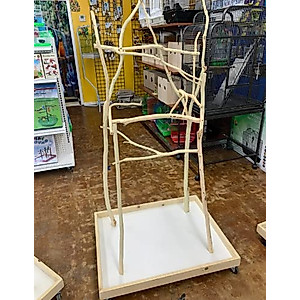 ExoticDad XS Parrot Stand - Customize Your Perch Designed Natural Dragonwood Bird Perch on Wheels Stand for Parrot, Cockatoo, Macaw, Conure, Birds, Cockatiel, African Grey - (24×36 Ft - B - 4 Ft H)