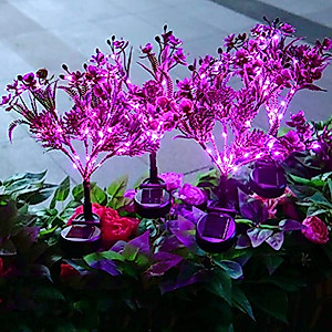 Aolyty Solar Lights Outdoor Garden Decorative, 2 Pack Solar Powered Phalaenopsis Flowers Lights Waterproof IP65 Solar In-Ground Lights, for Garden, Yard, Patio, Lawn Decor