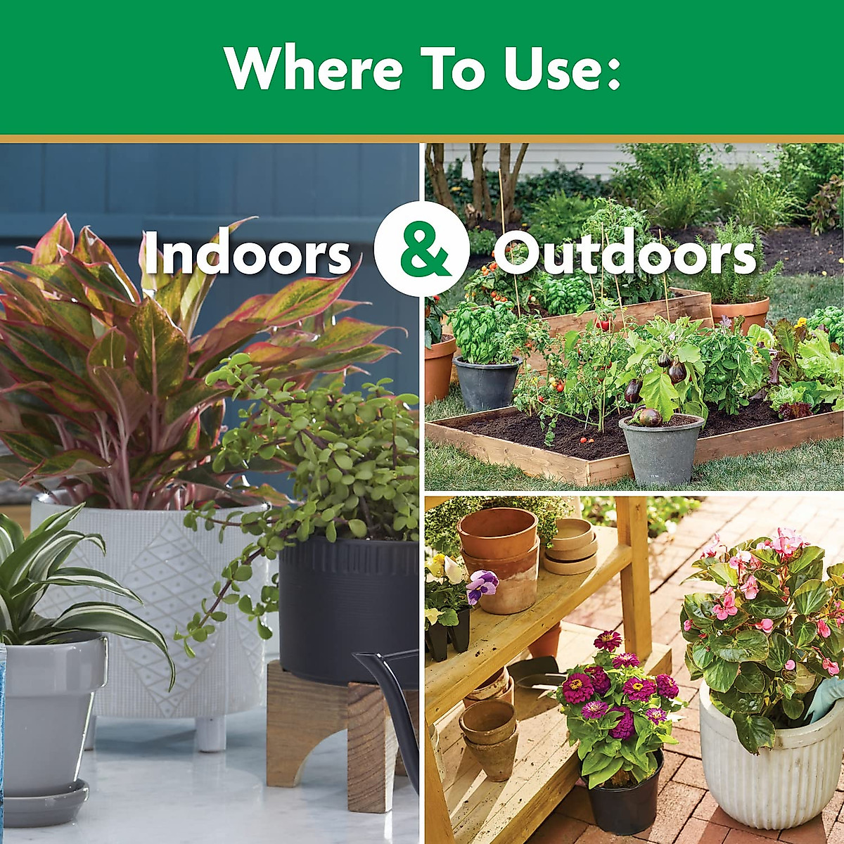 Miracle-Gro Water Soluble All Purpose Plant Food, Fertilizer for Indoor or Outdoor Flowers, Vegetables or Trees, 10 lbs.