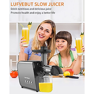 Celery Juicer Machines Easy To Clean,Electric Cold Press Juicer Extractor Leafy Greens Wheatgrass Beet,Quiet Vegetables and Fruits Juicer 250W Motor,Reverse Function,Low Speed,BPA Free,Dishwasher Safe