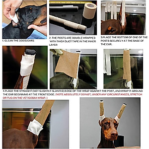 Pacify Doberman Dog Ear Posting Kit, Dog Ear Stand Up Support Tool with Tape Doberman Pinscher Dogs
