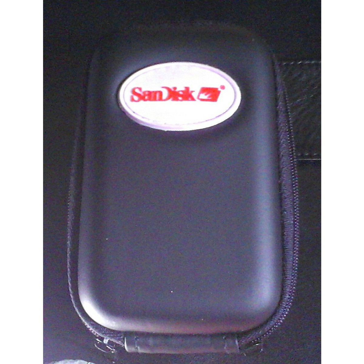 SanDisk Sansa e250 2 GB MP3 Player with microSD Expansion Slot (Black)