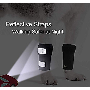 IN HAND Dog Leg Brace, Pair of Dog Canine Leg Wrap Front Leg Compression Brace with Metal Strips & Safety Reflective Straps, Protects Wounds Brace Heals and Prevents Injuries and Sprains