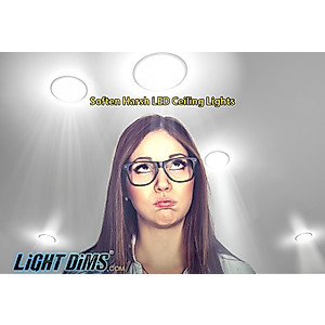 LightDims White Dims Dimming/Softening Sheets for Harsh LED Lights 8"x10.5" Size (1 Sheet) Neutral Color & (1 Sheet) of free mystery gift. Packaging may vary