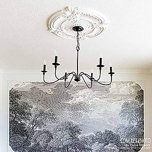 Ekena Millwork CM20VIUWF Vienna Ceiling Medallion, 20"OD x 3 1/2"ID x 1 1/2"P, Hand-Painted Ultra Pure White