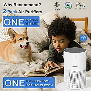 2Pack Air Purifiers for Bedroom with Four Filters(Two Already in Air Purifiers) For Smoke Pollen Dander Hair Smell In Bedroom Office Living Room and Kitchen