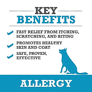 WINPRO All-Natural Allergy Relief and Gut Health Bundle, 120 Chews, Plasma Powered Grain Free Soft Chews Providing Relief from Itchy, Irritated Skin, Digestive Health and Immunity