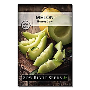 Sow Right Seeds - Cantaloupe Fruit Seed Collection for Planting - Individual Packets Honey Rock, Hales Best and Honeydew Melon, Non-GMO Heirloom Seeds to Plant an Outdoor Home Vegetable Garden