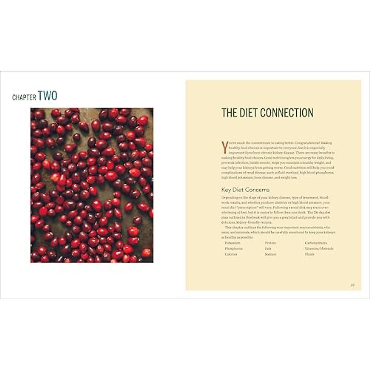 Renal Diet Cookbook: The Low Sodium, Low Potassium, Healthy Kidney Cookbook