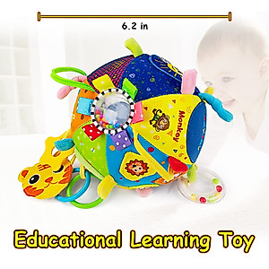 Busy Sensory Ball Baby Toys for 0-12 Months,Developmental Activity Ball Infant Toys with Baby Rattles Teether Crinkle Sounds,Discover Ball Gifts,Easy to Grasp Encourage Tummy Time Fine Motor Skills