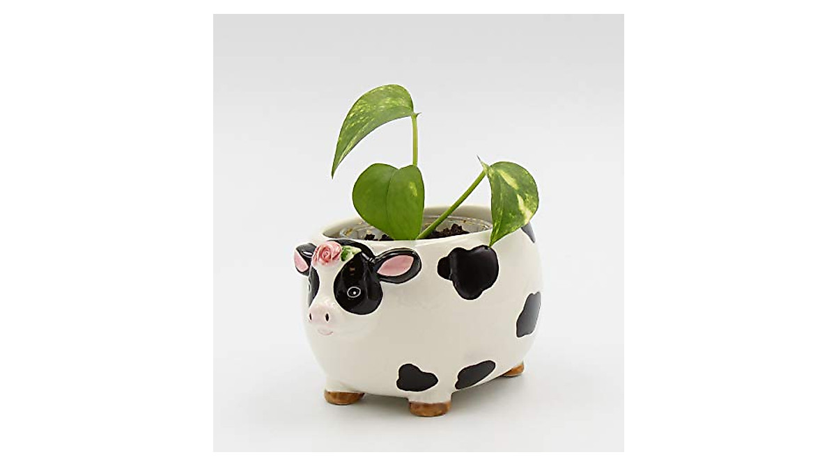 Cosmos Gifts Ceramic Cow Candy Dish & Planter | Farm Decor