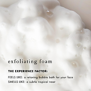 Bioelements Flash Foam Cleanser - 6.5 fl oz - Exfoliating Foam Cleanser for Oily, Combination & Dry Skin - Vegan, Gluten Free - Never Tested on Animals