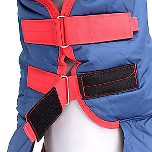 Horseware Ireland AASJ41-CDR0 Mio All-in-One T/O Lite 0g Dark Blue/Red 81