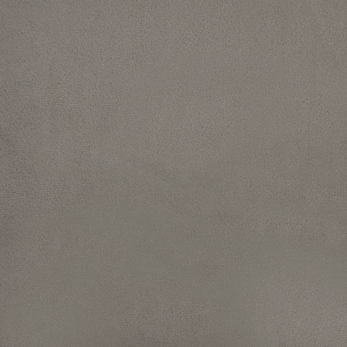 GOLINPEILO 2-Seater Sofa Light Gray 55.1" Velvet, 62.2" x 30.3" x 31.5", (Style B)