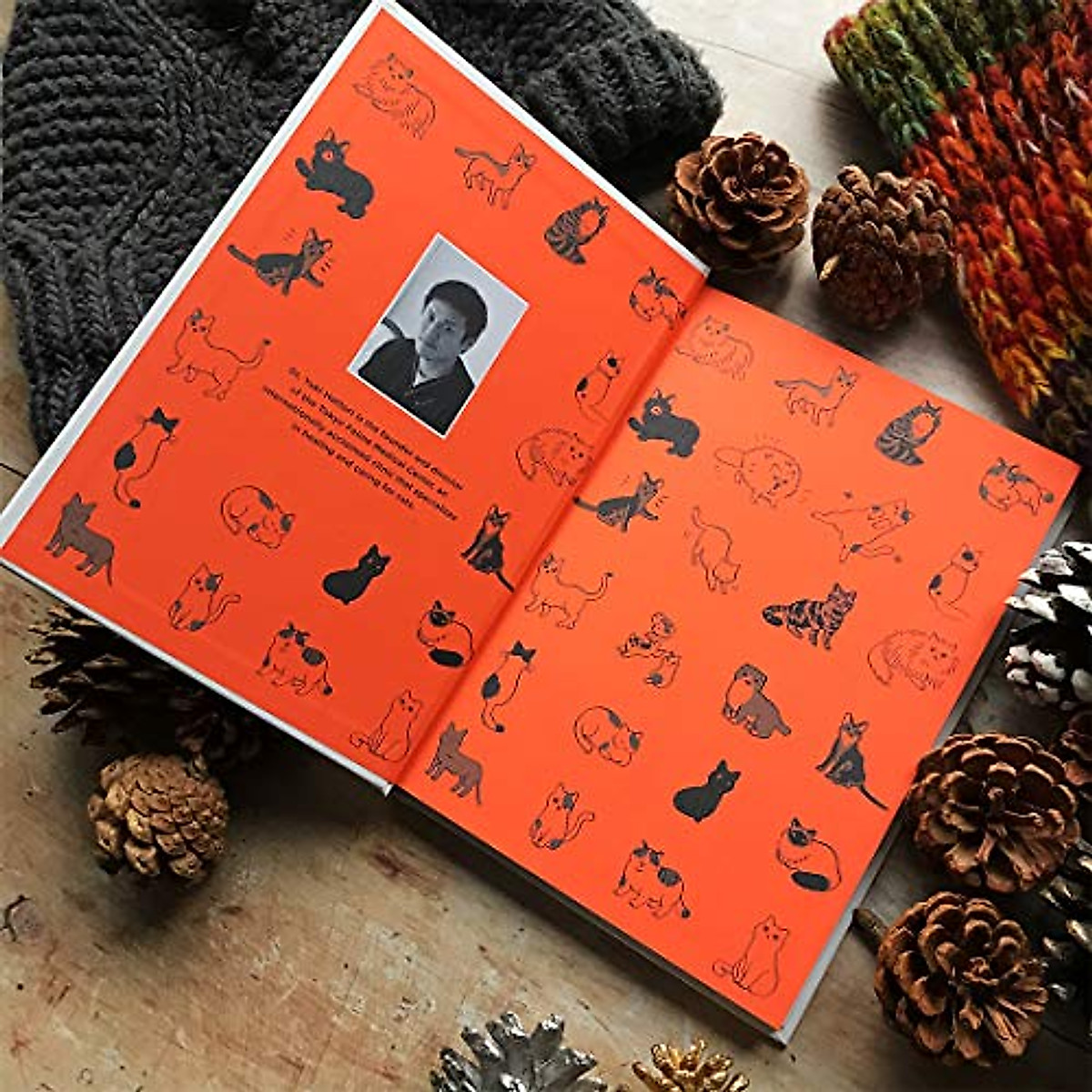 What Cats Want: An illustrated guide for truly understanding your cat