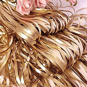 Light Gold Backdrop Curtains -6.6x9.8 feet, Pack of 2 | LILF Matte Foil Fringe Curtain with Non-Marking Tape | Tinsel Streamers Backdrop for Birthday Bachelorette Party Decoration Photo Booth Props