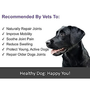 Joint Repair Advanced Hip & Joint Health Supplement for Dogs. Naturally Relieves Arthritis, Pain & Inflammation. Extra Strength Soft Chew Treats with Glucosamine, Chondroitin & MSM Improve Mobility