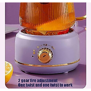 600ML Health Pot Household Multifunctional Glass Kettle Electric Tea Pot Hot Water Dispensers Electric Kettle Flower Teapot Automatic Electric Stew Bird's Nest Pot Stainless Steel B,600ML (Color : B